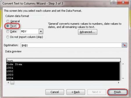 Panduan Merubah Format Angka (Numeric) ke Text di Microsoft Excel