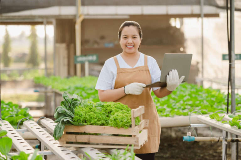 10 Jenis Usaha atau Bidang Usaha dan Contohnya